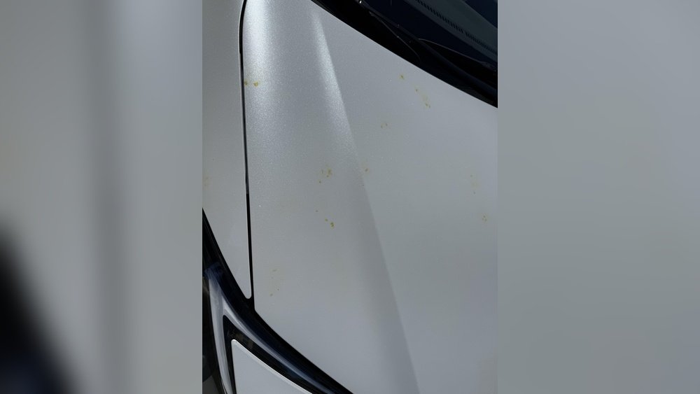 Does Lime Damage Car Paint? Essential Facts Every Driver Must Know